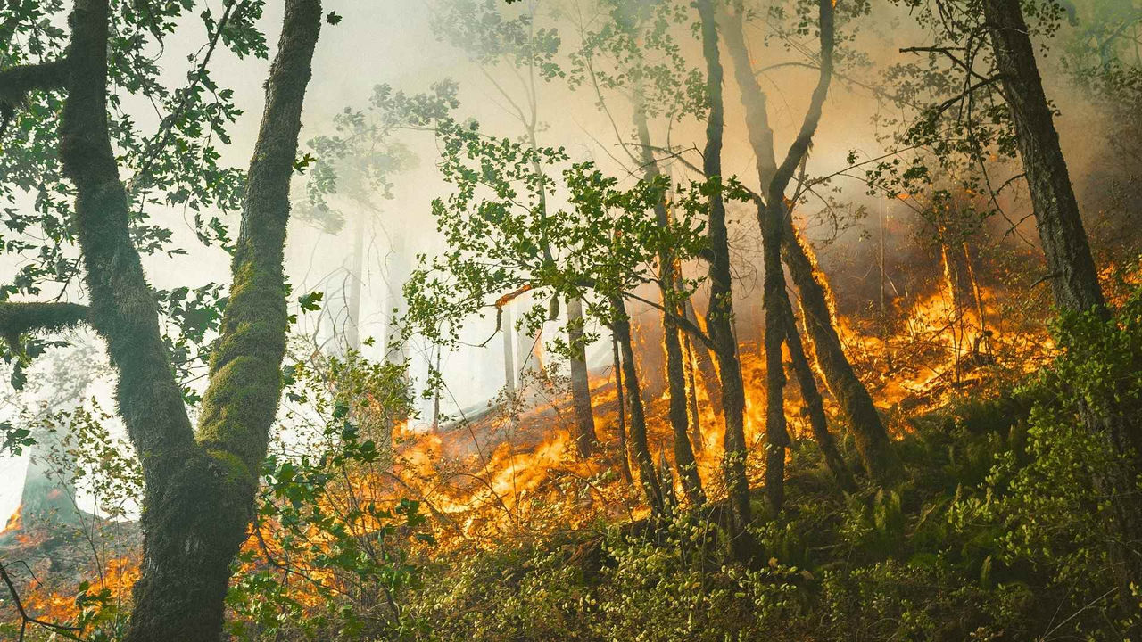 Edufire Toolkit project for education about forest fire prevention ...