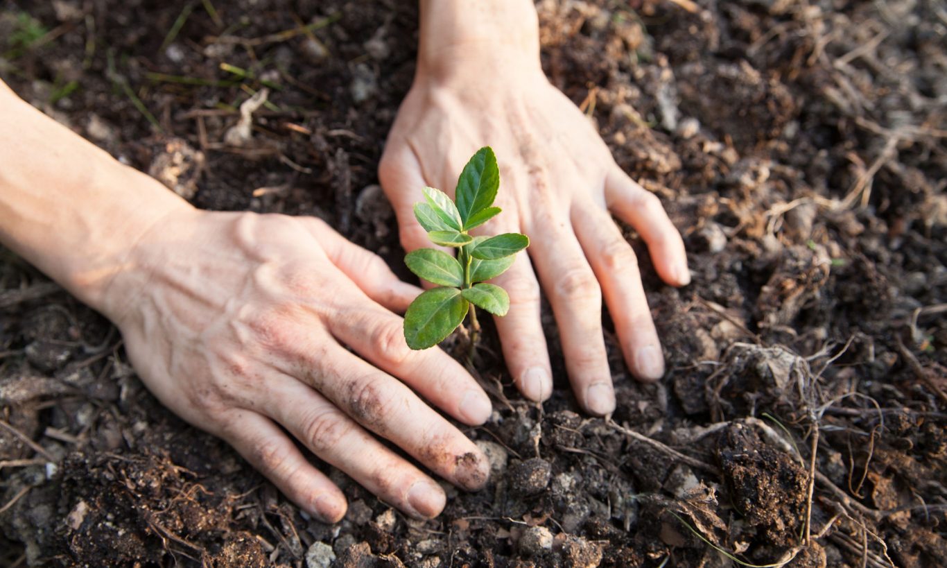Interrelación entre salud humana y salud planetaria | UOC